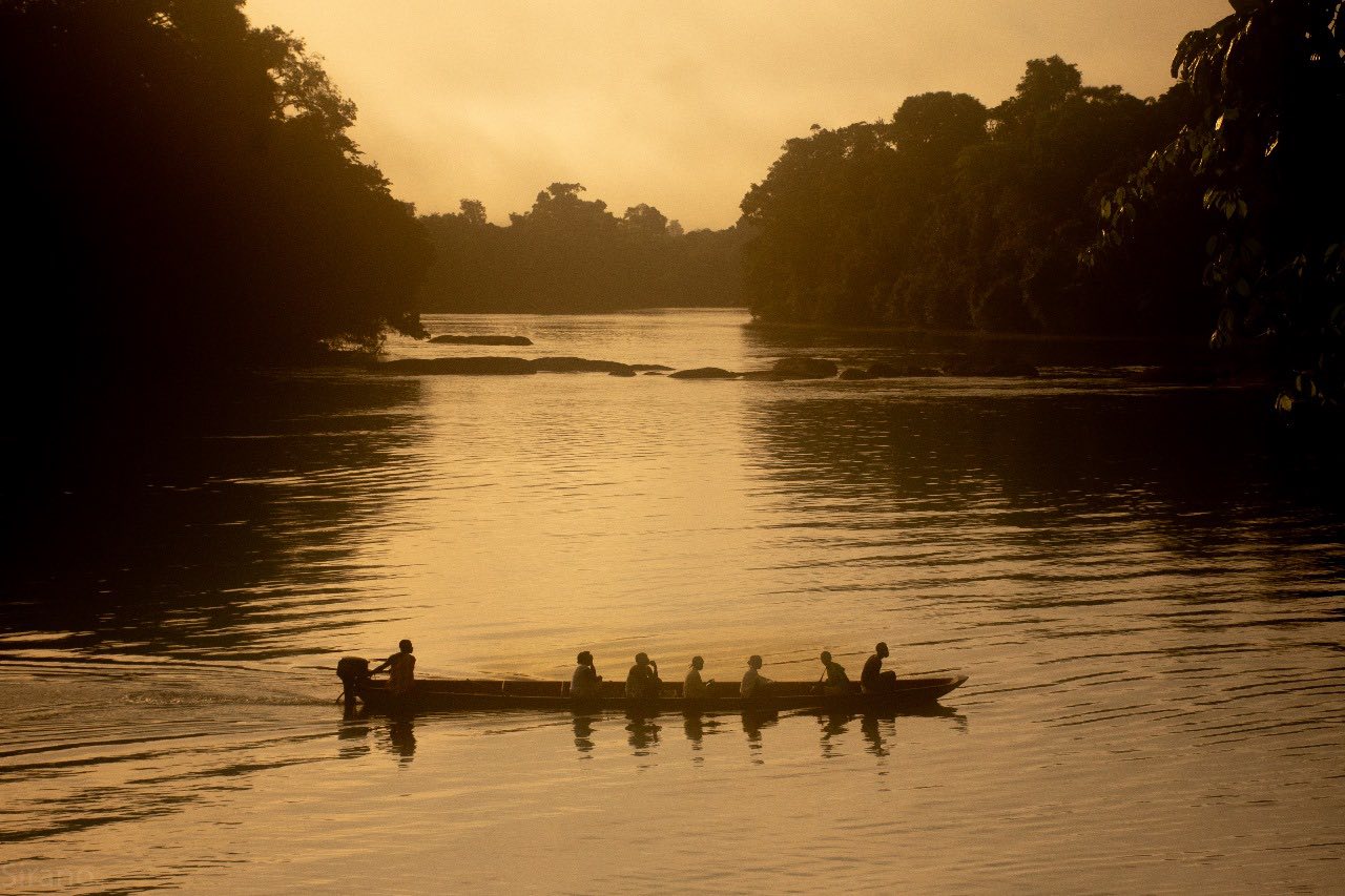 Best Suriname Tours 2025: Top 10 Things To Do
